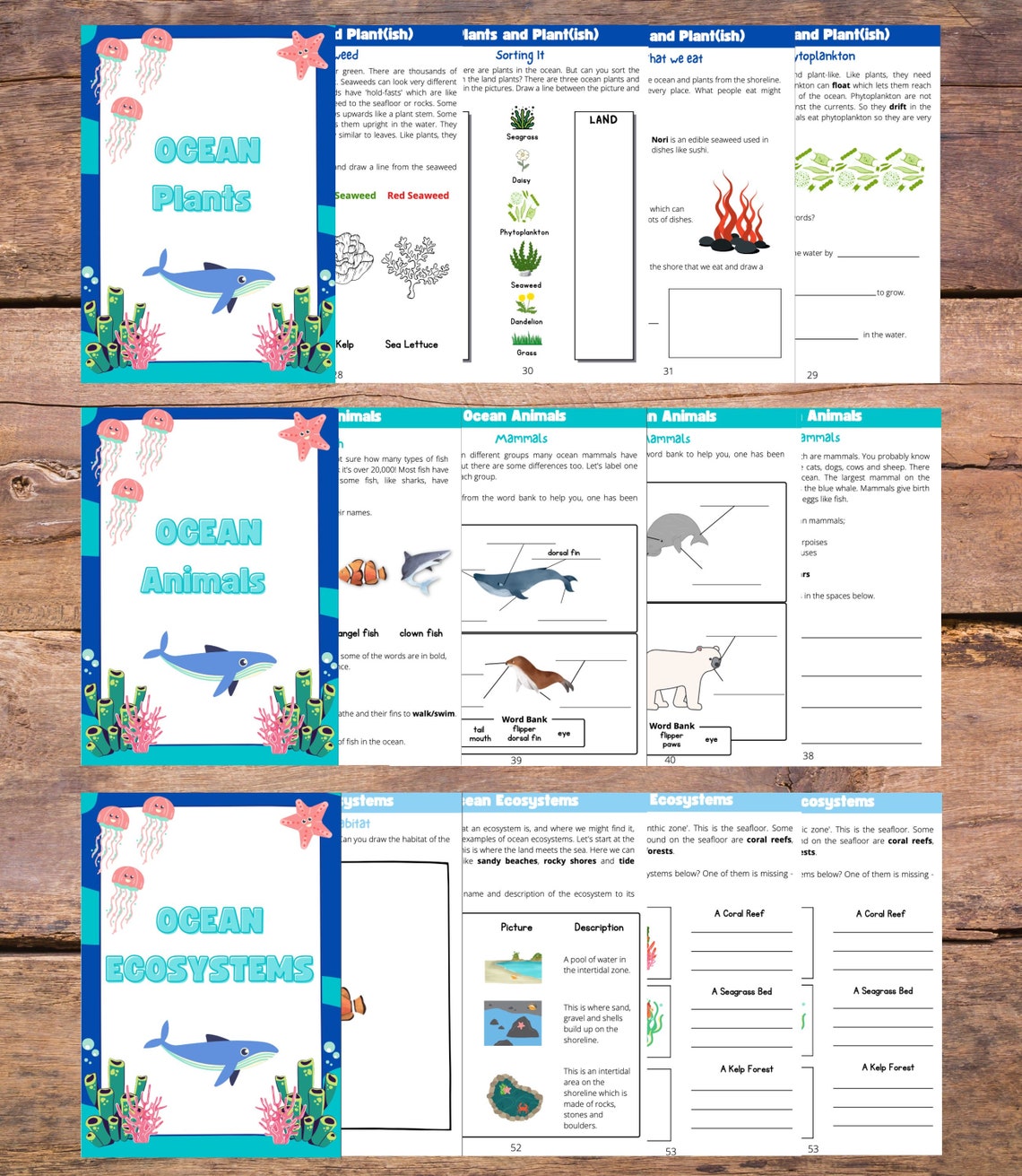 Digital Ocean Workbook: Marine Science Student Book for Kids (ages 7 ...