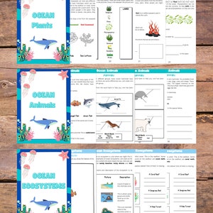 Digital Ocean Workbook: Marine Science Student Book for Kids (ages 7 ...