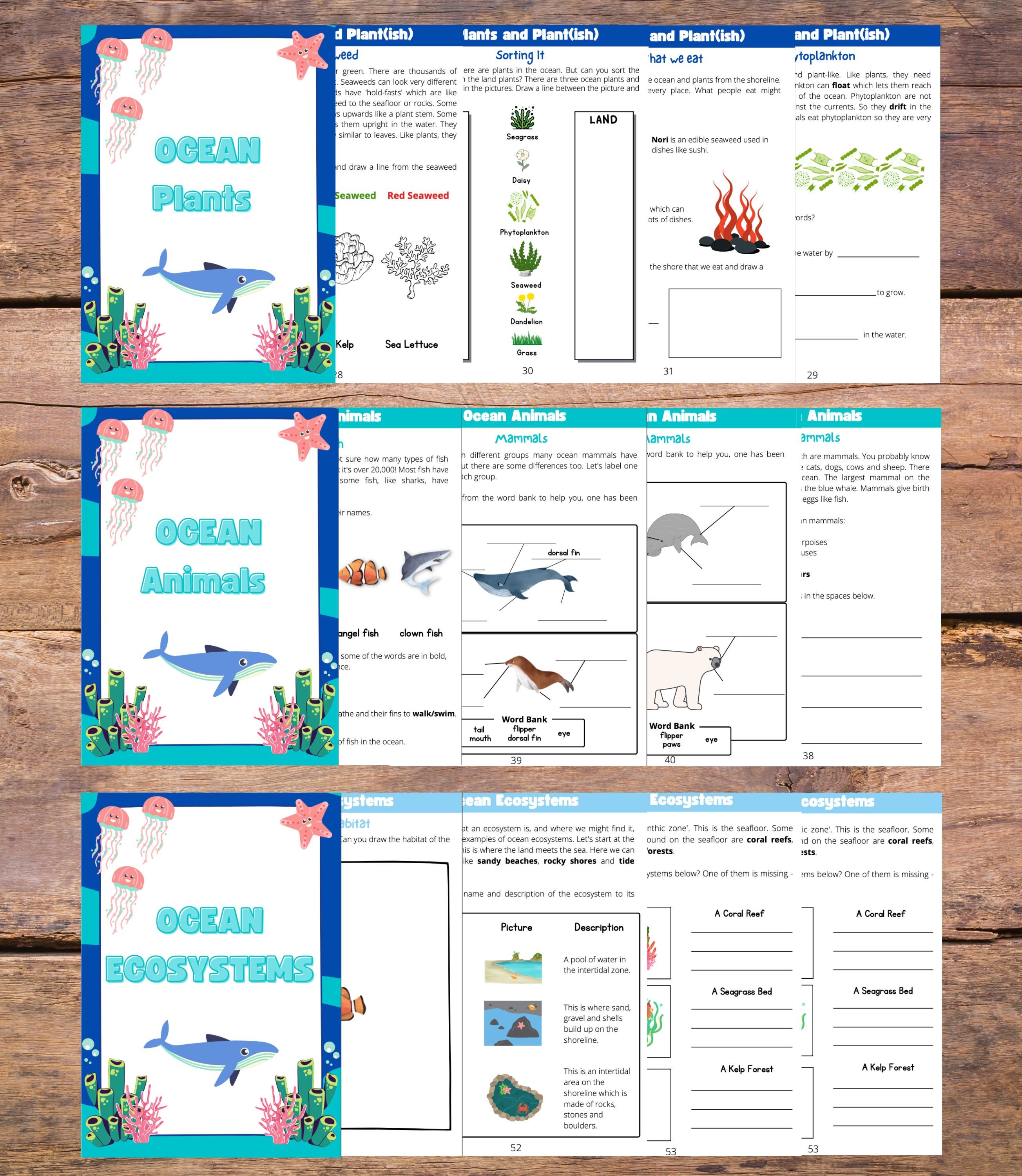 Digital Ocean Workbook: Marine Science Student Book for Kids (ages 7 ...