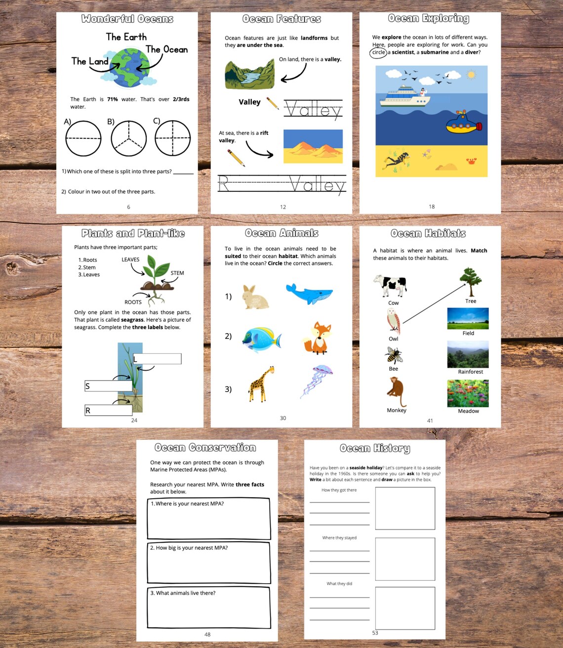 Digital Ocean Workbook: Marine Science Book 1 for Kids (ages 5 ...