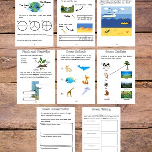 Digital Ocean Workbook: Marine Science Book 1 for Kids (ages 5 ...