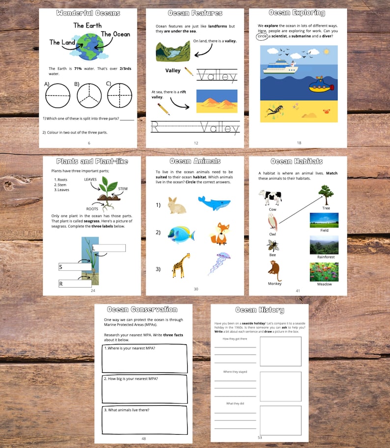 Digital Ocean Workbook: Marine Science Book 1 for Kids (ages 5 ...
