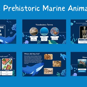 Prehistoric Oceans: 2 Lessons for Kids (ages 7+) Includes Booklet and ...