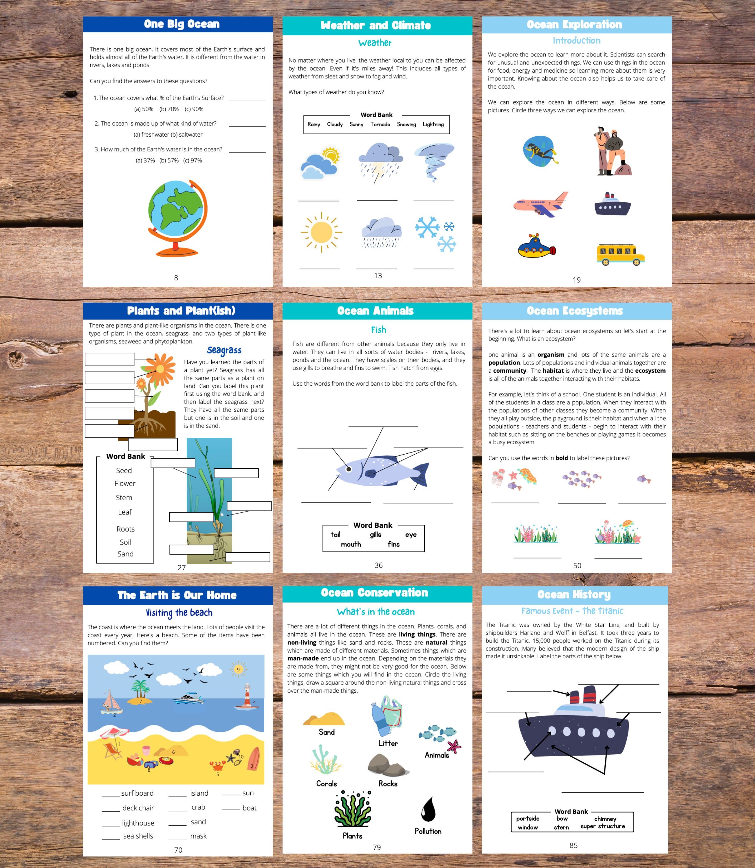 Digital Ocean Workbook: Marine Science Student Book for Kids (ages 7 ...