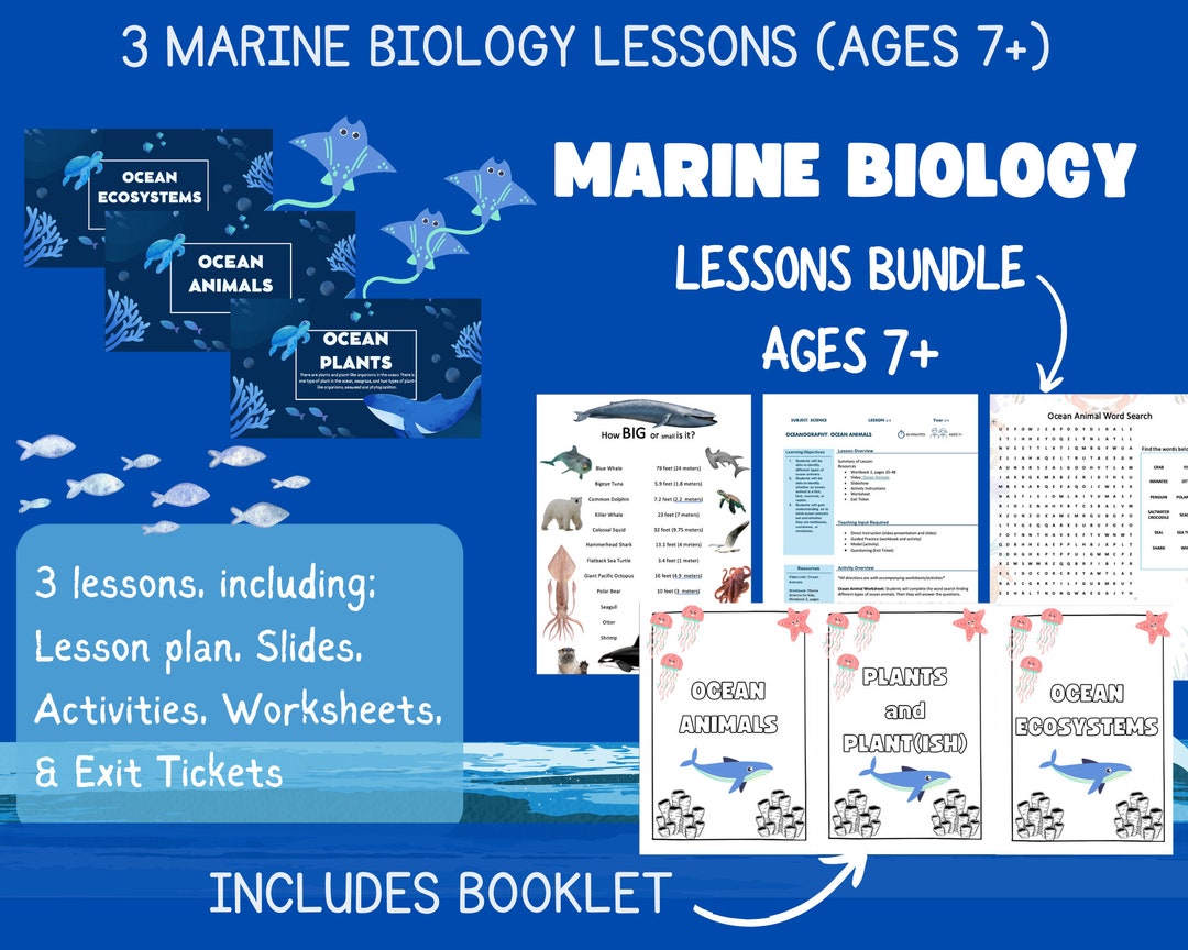 Marine Biology: 3 Lessons for Kids and Booklet (ages 7+) - Etsy