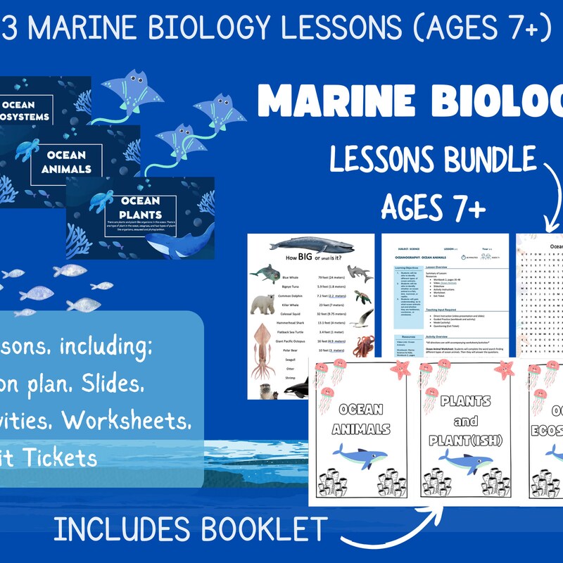 MarineScience4Kids - Etsy UK