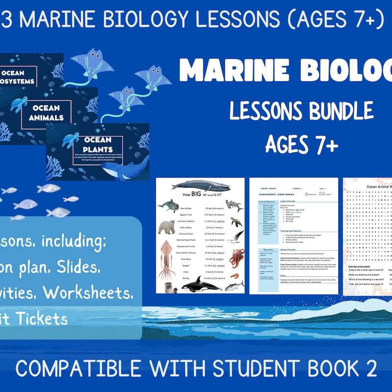 MarineScience4Kids - Etsy UK