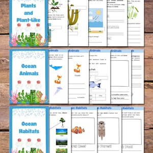 Digital Ocean Workbook: Marine Science Book 1 for Kids (ages 5 ...