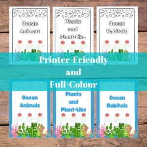 Digital Ocean Workbook: Marine Science Book 1 for Kids (ages 5 ...