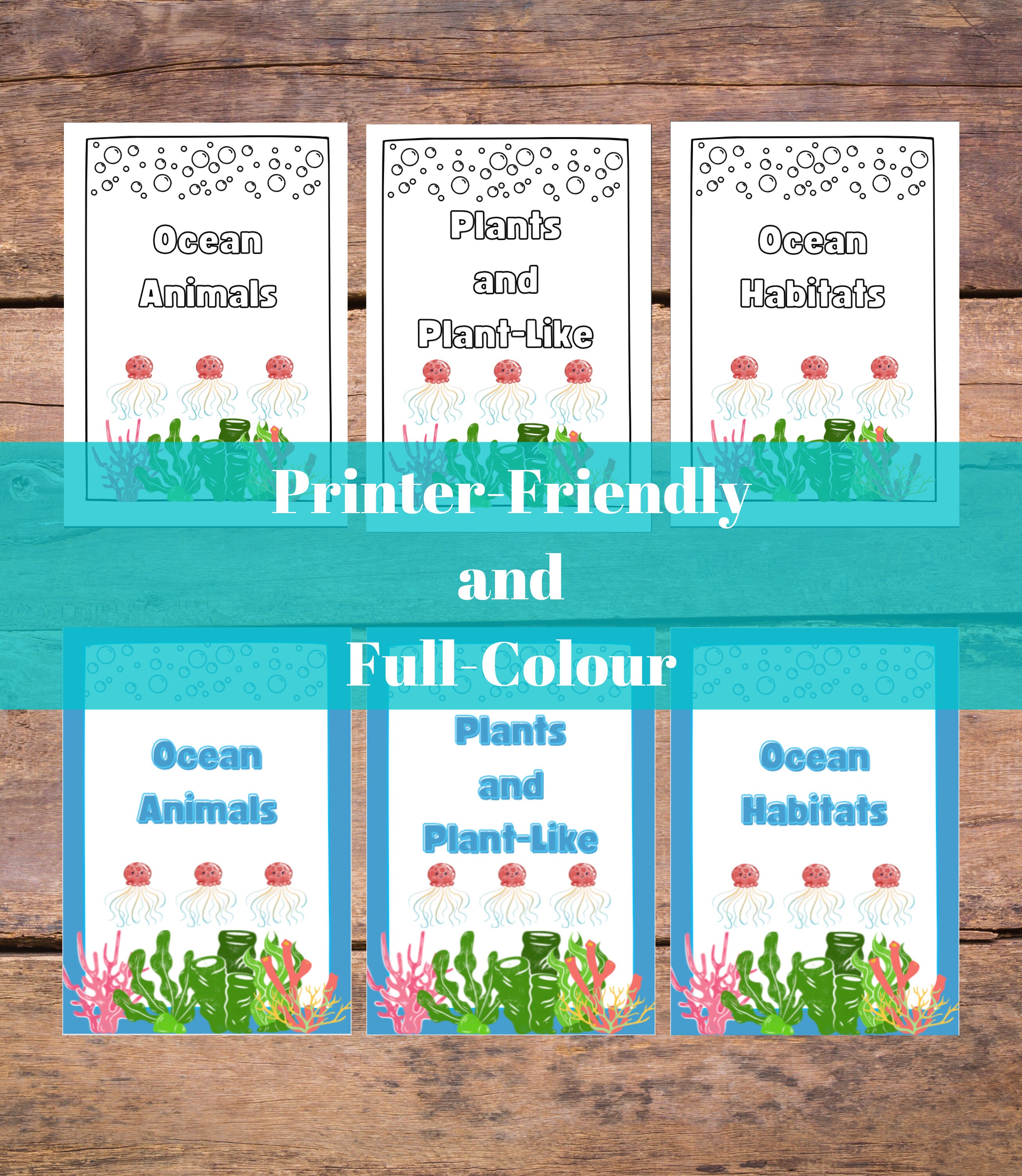 Digital Ocean Workbook: Marine Science Book 1 for Kids (ages 5 ...