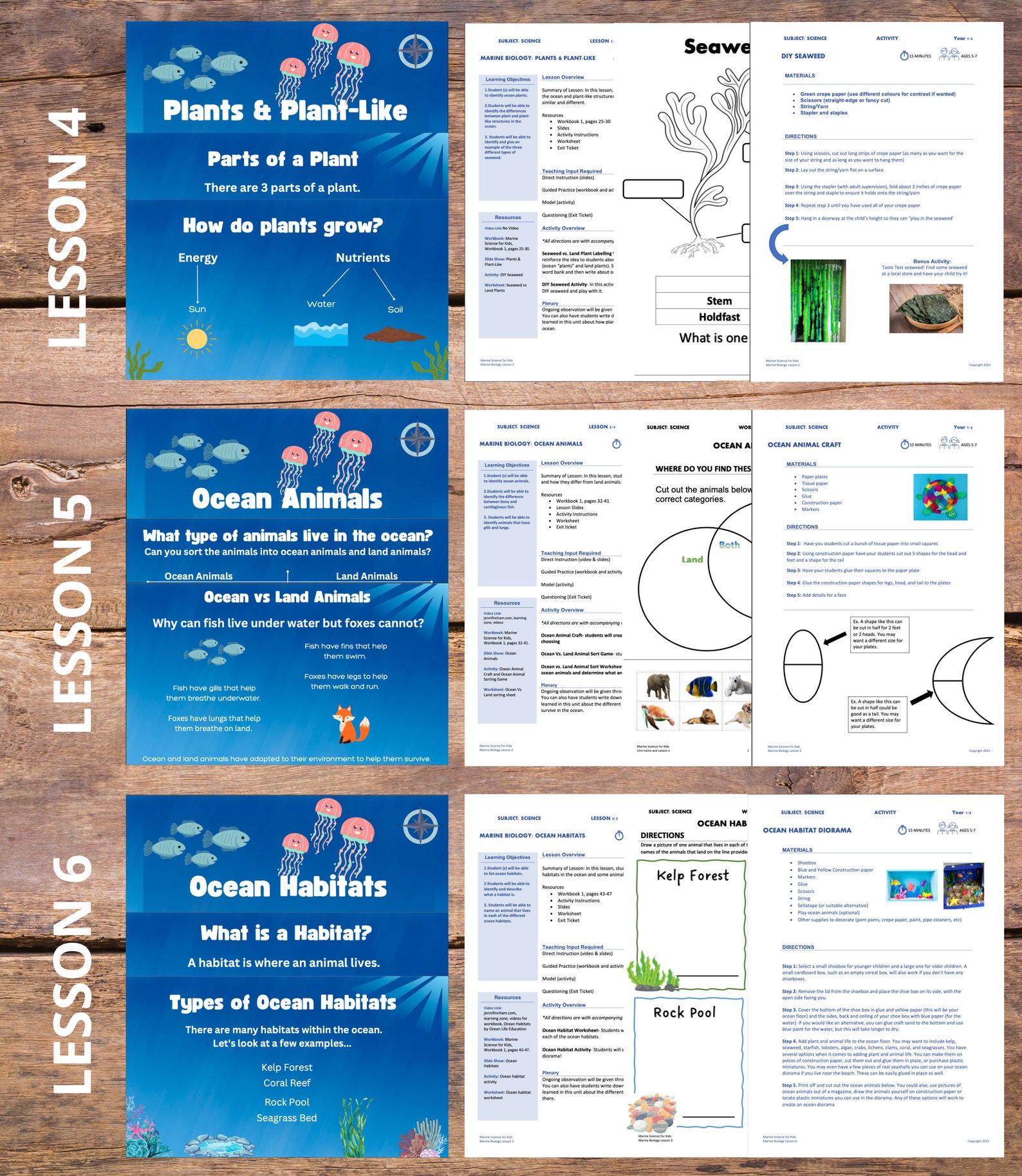 8 Ocean Lessons for Kids (complete Set for Ages 5+): Marine Biology ...