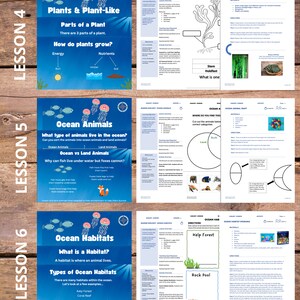 8 Ocean Lessons for Kids (complete Set for Ages 5+): Marine Biology ...