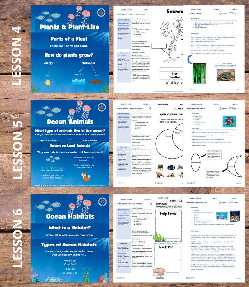 8 Ocean Lessons for Kids (complete Set for Ages 5+): Marine Biology ...