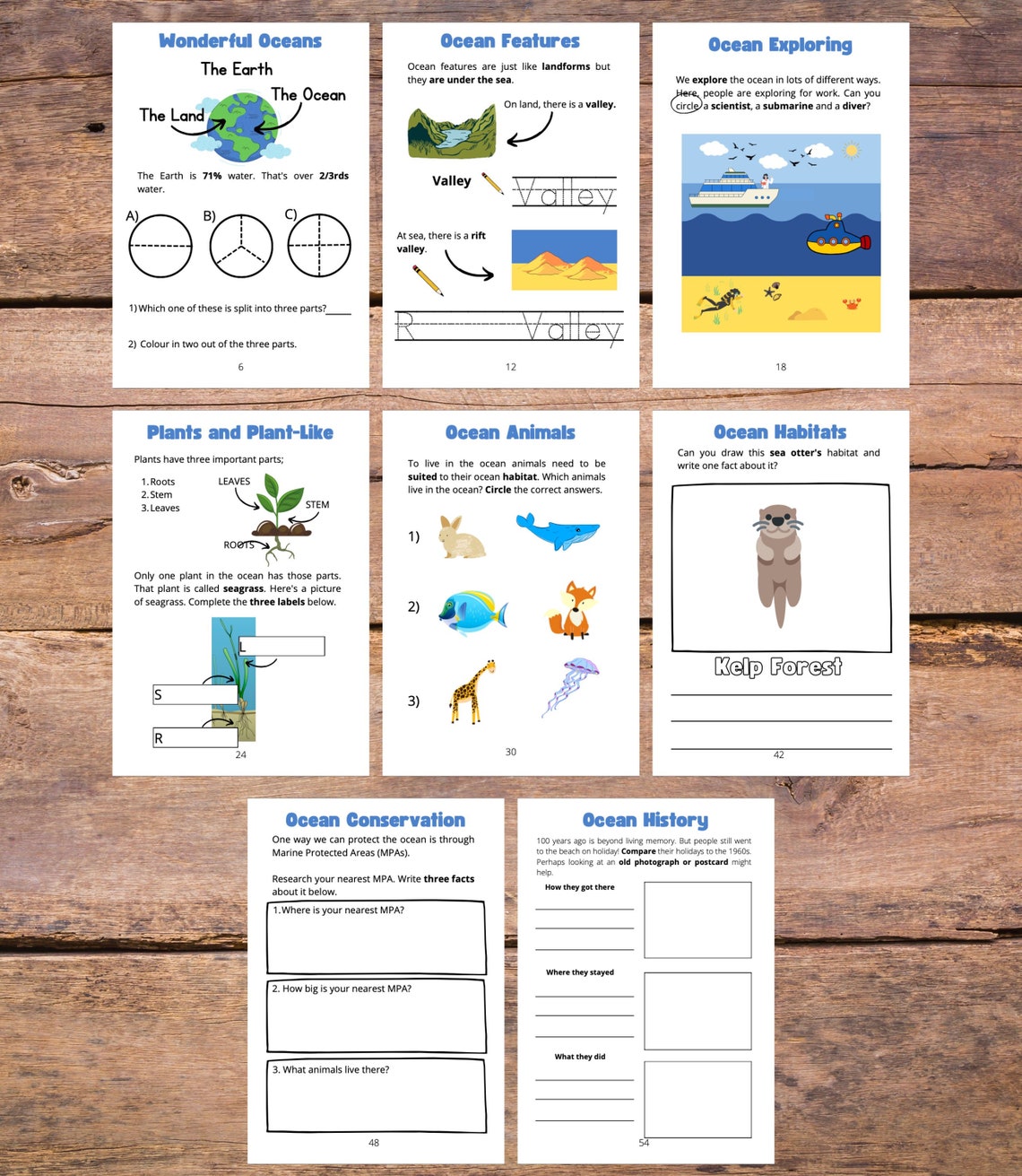 Digital Ocean Workbook: Marine Science Book 1 for Kids (ages 5 ...