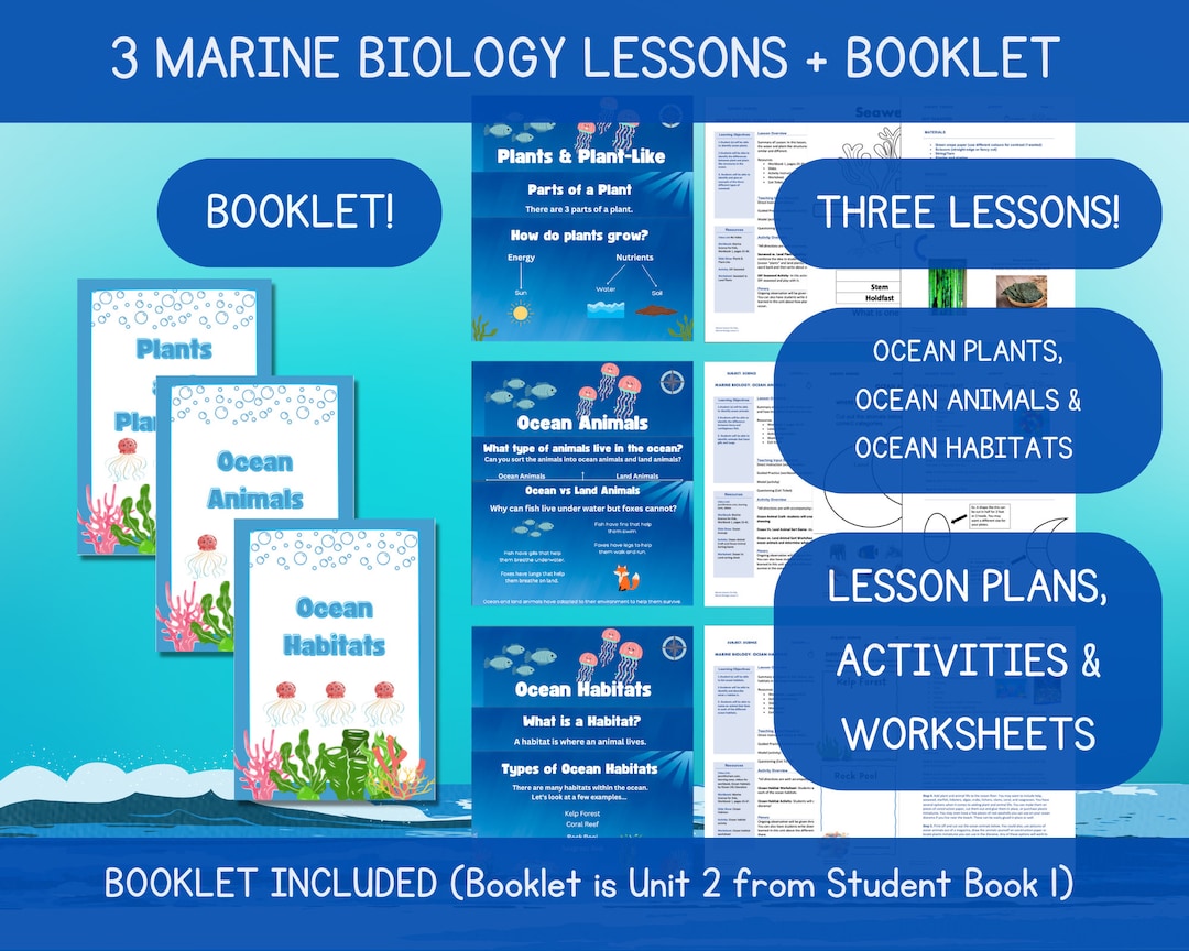 Marine Biology: 3 Kids' Lessons + Booklet (ages 5+) - Dive Into Marine ...