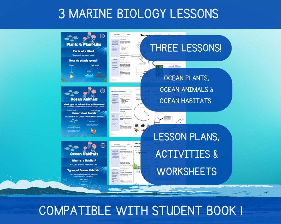 Marine Biology: 3 Lessons for Kids (ages 5+) - Marine Biology Unit ...