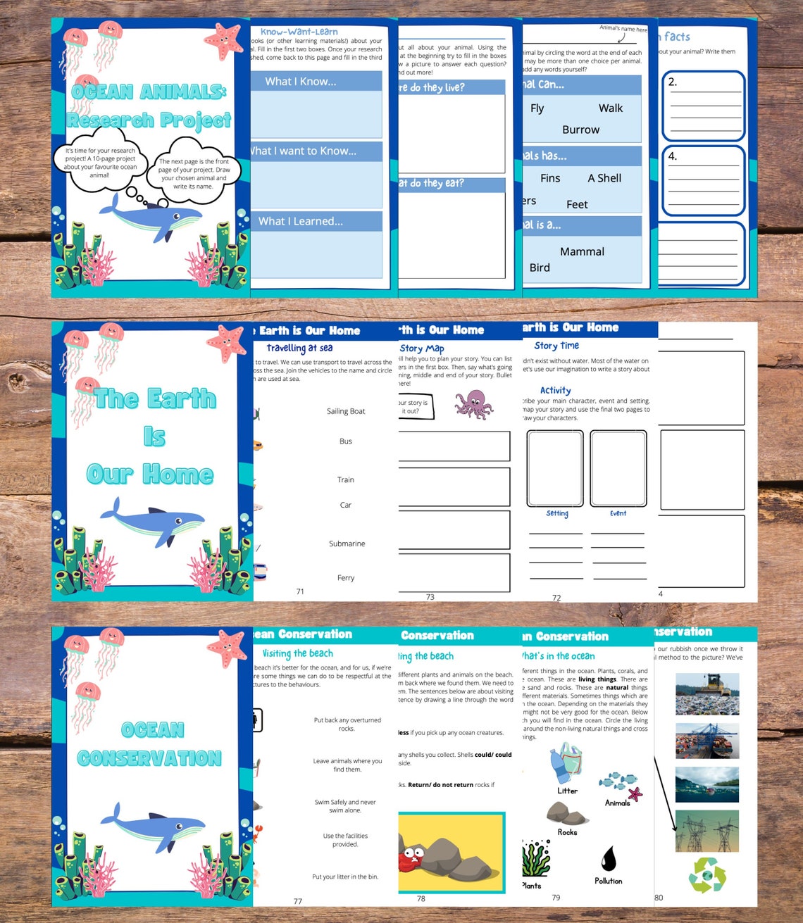 Digital Ocean Workbook: Marine Science Student Book for Kids (ages 7 ...