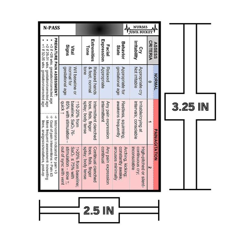 Badge Buddy NPASS Pain & Sedation - Etsy