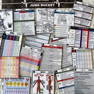 Badge Buddy - Pain Scale: FLACC, PIPP, & NPASS - Etsy