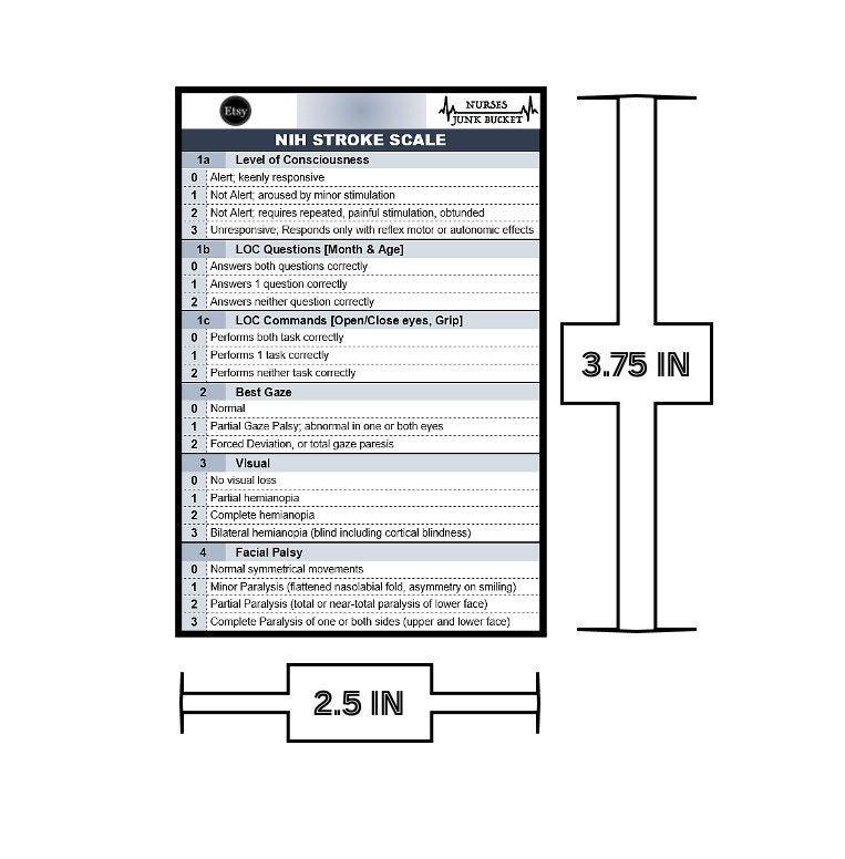 Badge Buddy NIHSS - Etsy