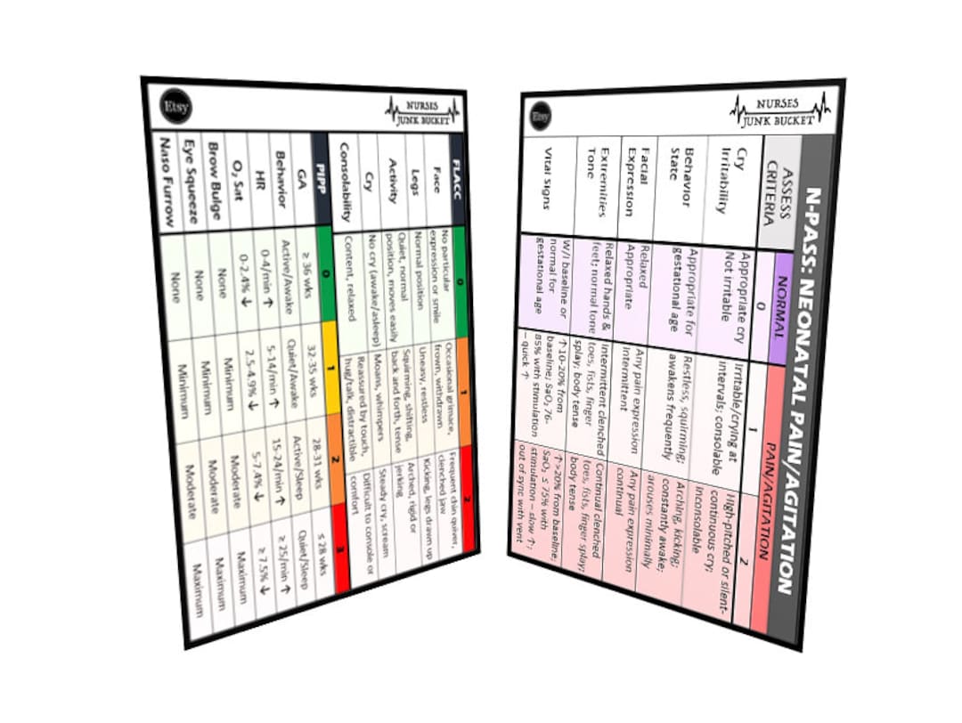 Badge Buddy - Pain Scale: FLACC, PIPP, & NPASS - Etsy
