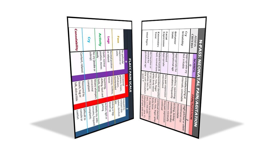 Pain Scale: FLACC & NPASS Digital Download Badge Buddy - Etsy Canada