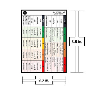 Badge Buddy - Pain Scale: FLACC, PIPP, & NPASS - Etsy