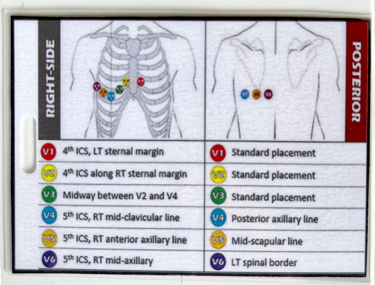 EKG Leads Digital Download Badge Buddy - Etsy