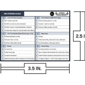 Badge Buddy - NIHSS - Etsy