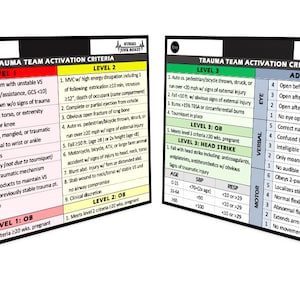 Badge Buddy Trauma Activation - Etsy