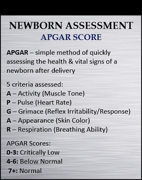 Badge Buddy APGAR - Etsy