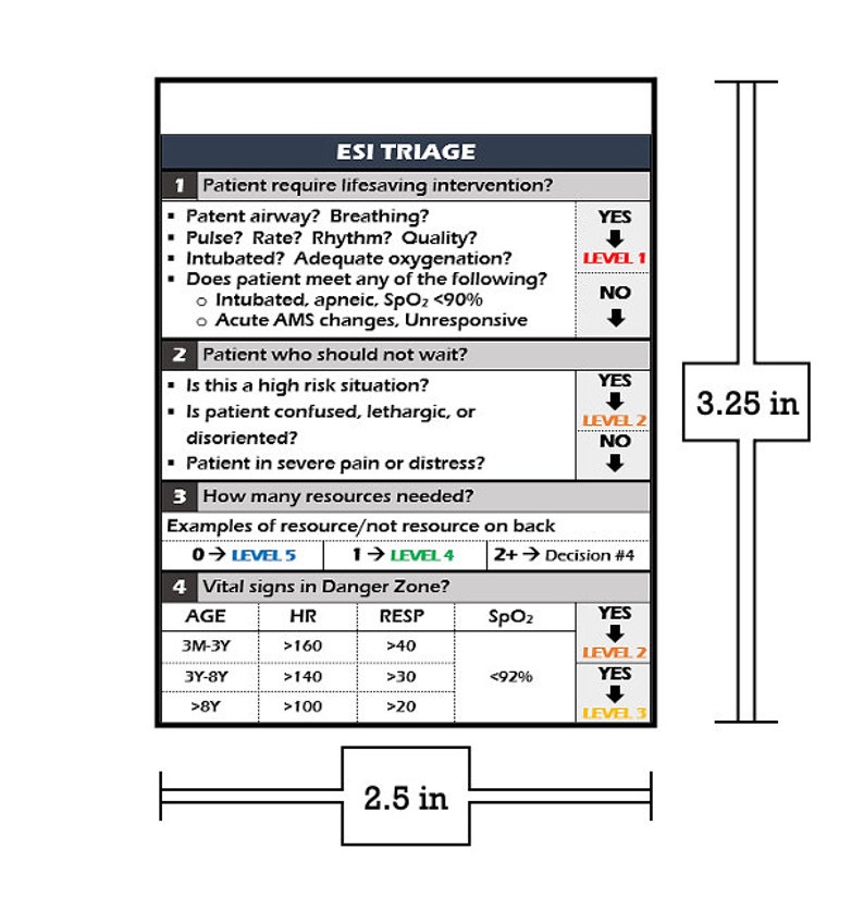 ESI Triage Digital Download Badge Buddy - Etsy