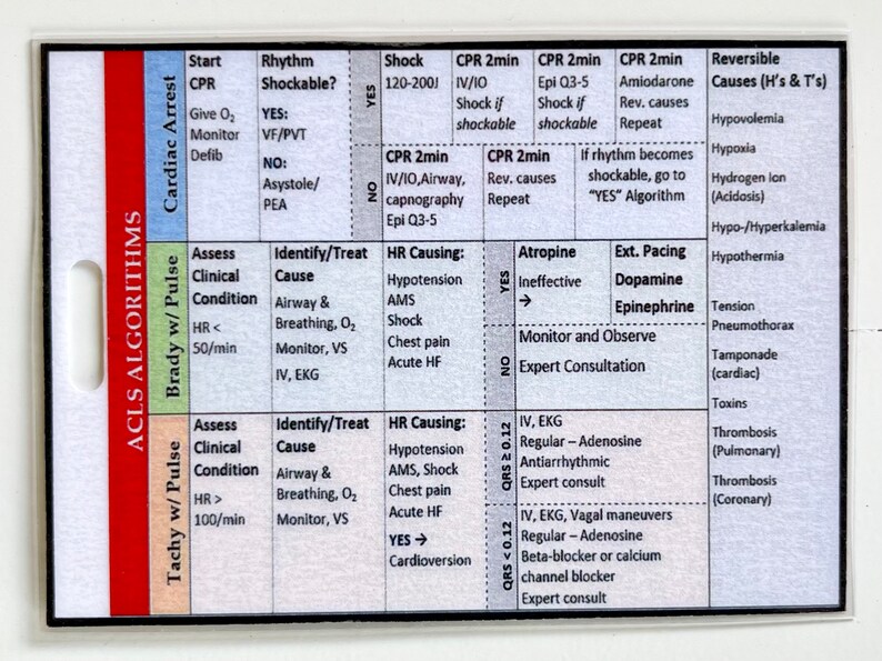 Badge Buddy ACLS - Etsy