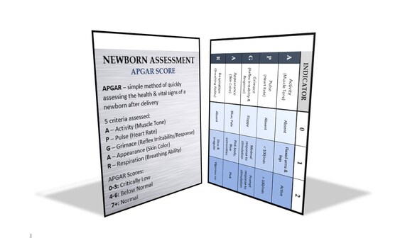 APGAR Digital Download Badge Buddy - Etsy