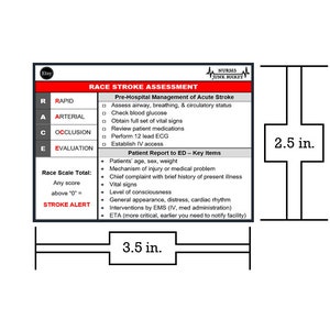 Badge Buddy - RACE Stroke Assessment - Etsy