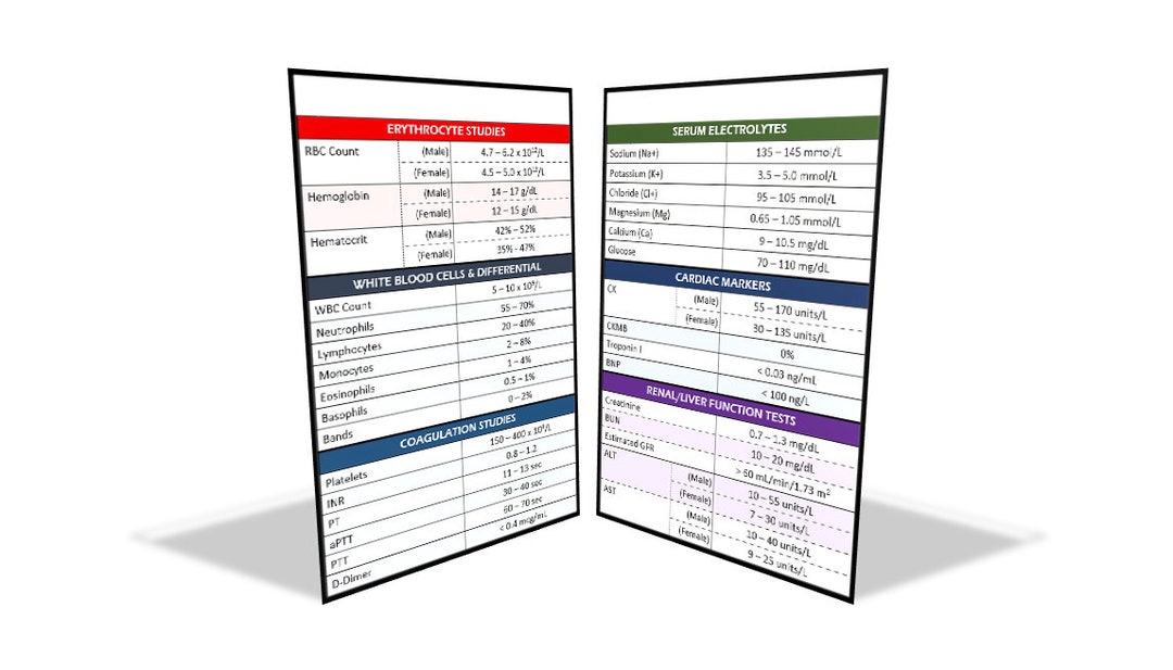 Badge Buddy Lab Values - Etsy