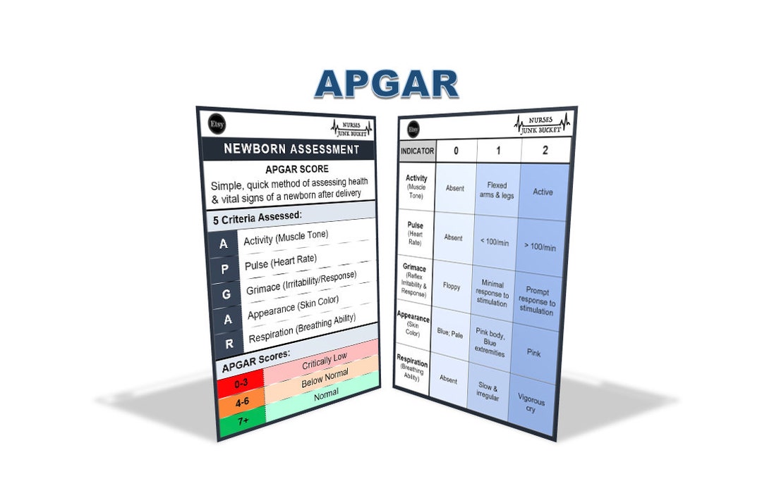 APGAR Digital Download Badge Buddy - Etsy