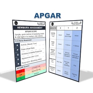 APGAR Digital Download Badge Buddy - Etsy