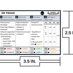 Badge Buddy - ESI Triage - Etsy