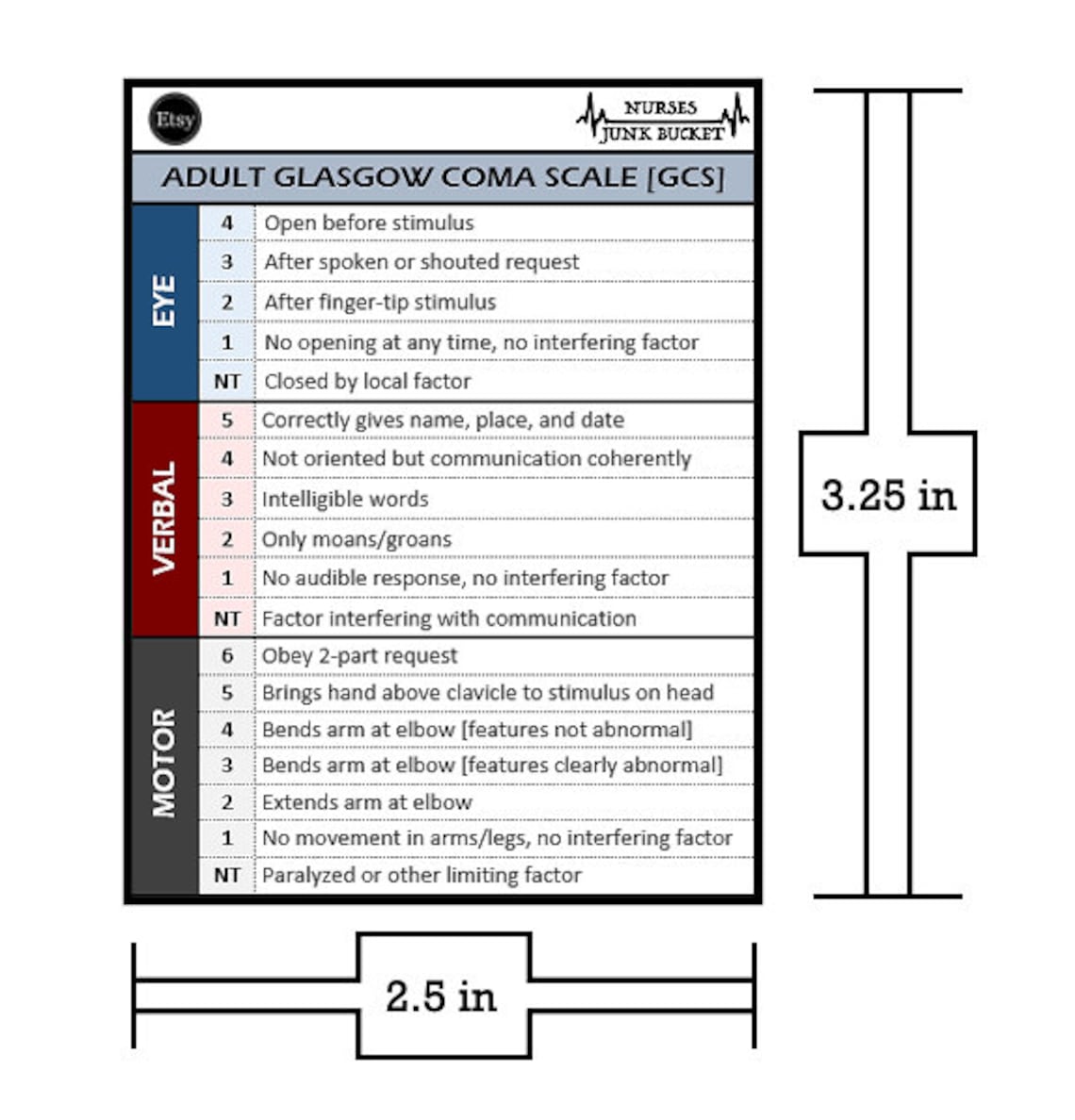 Badge Buddy Glasgow Coma Scale - Etsy