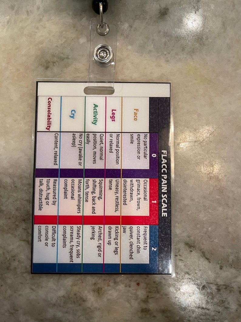 Badge Buddy Pain Scale: FLACC & NPASS - Etsy