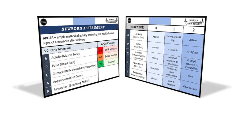 Badge Buddy APGAR - Etsy