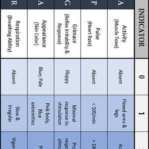 Badge Buddy APGAR - Etsy