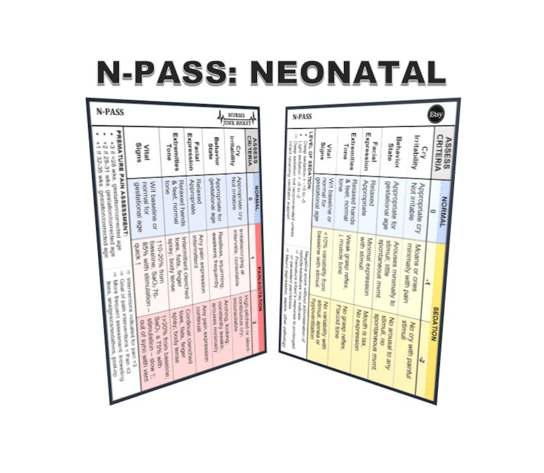 NPASS Pain & Sedation DIGITAL DOWNLOAD - Etsy
