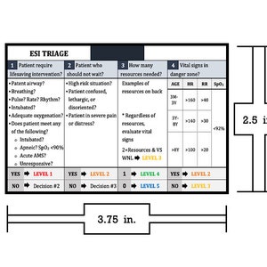 Badge Buddy ESI Triage - Etsy
