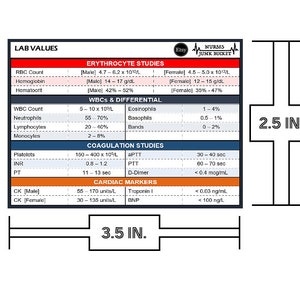 Badge Buddy - Lab Values - Etsy