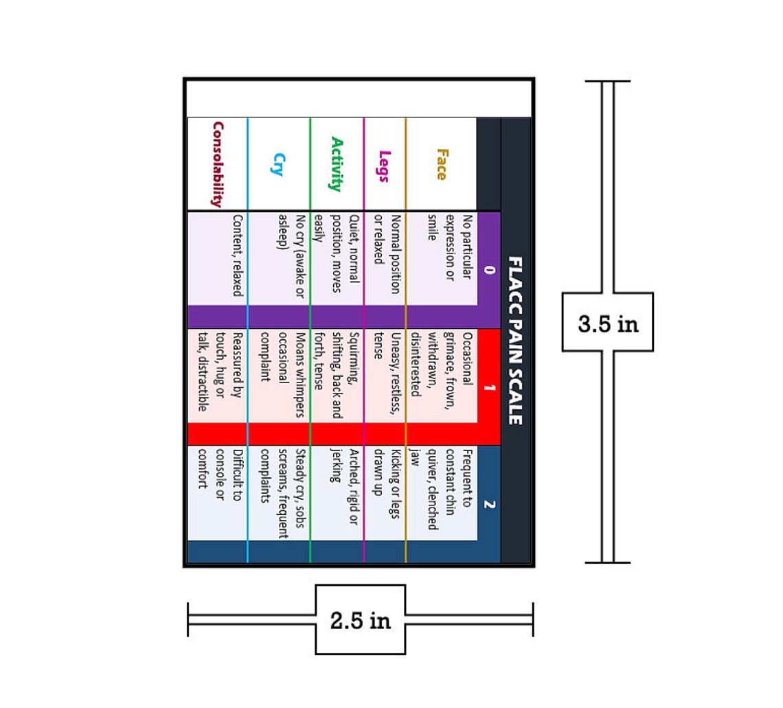 Badge Buddy Pain Scale: FLACC & NPASS - Etsy