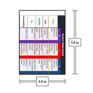 Badge Buddy - Pain Scale: FLACC & NPASS - Etsy