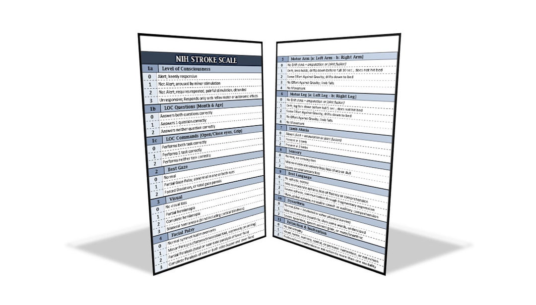 NIHSS Digital Download Badge Buddy - Etsy