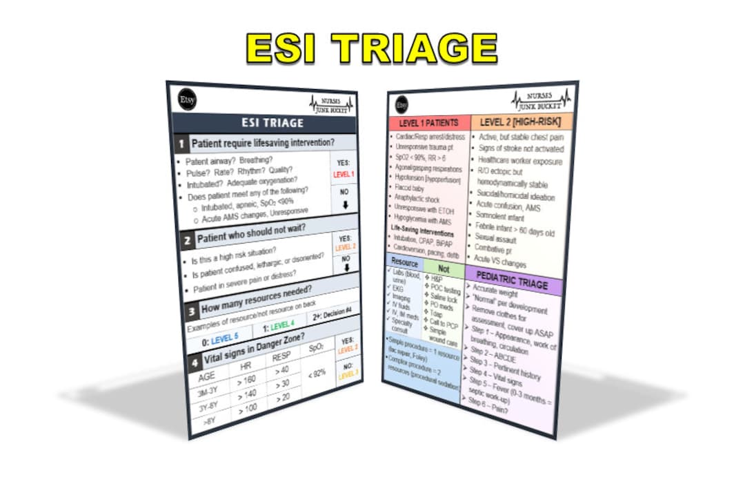 ESI Triage Digital Download Badge Buddy - Etsy
